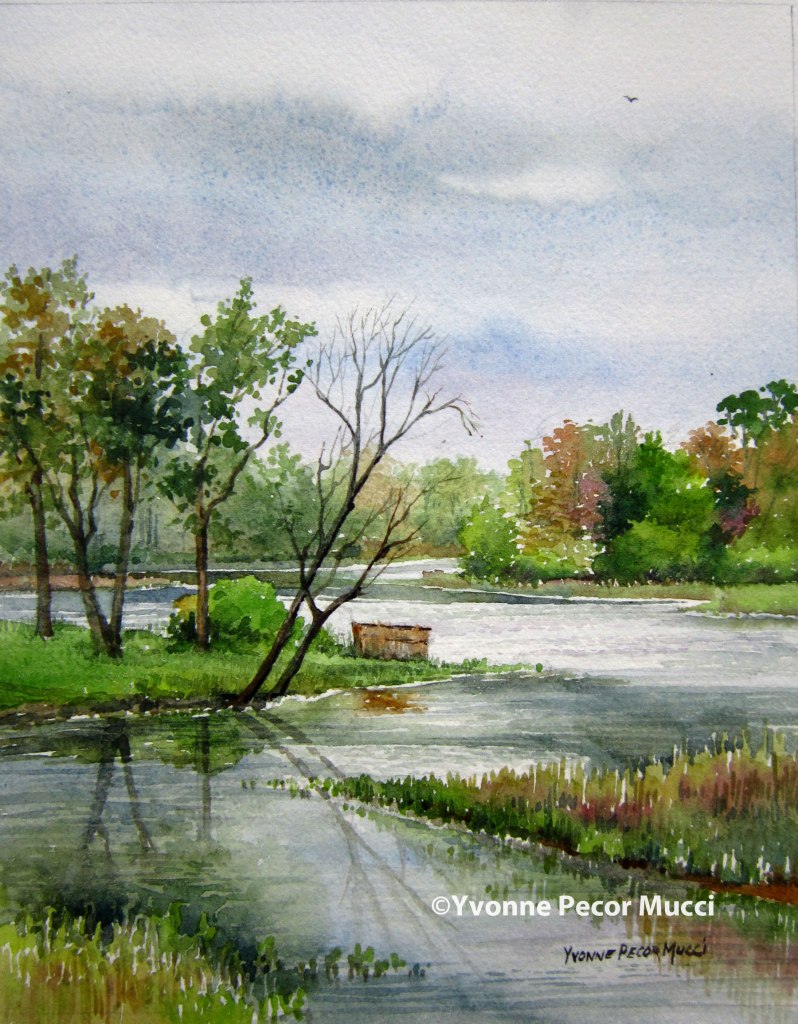 Watercolor Painting | Yvonne Pecor Mucci